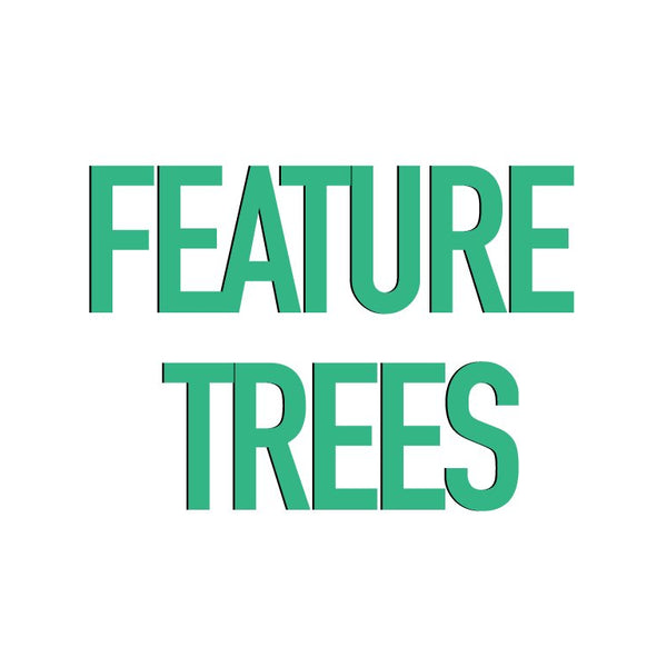 Sydney Wholesale Nursery Supplying Landscaper to Garden Centre to DIY ...